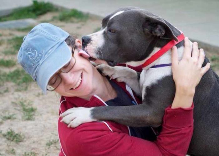 Dog Manners 101 In Eugene, Oregon | Feet & Paws