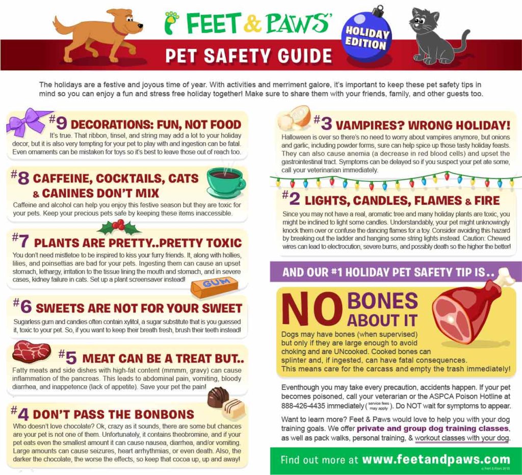 Holiday Pet Safety Tips | Feet & Paws