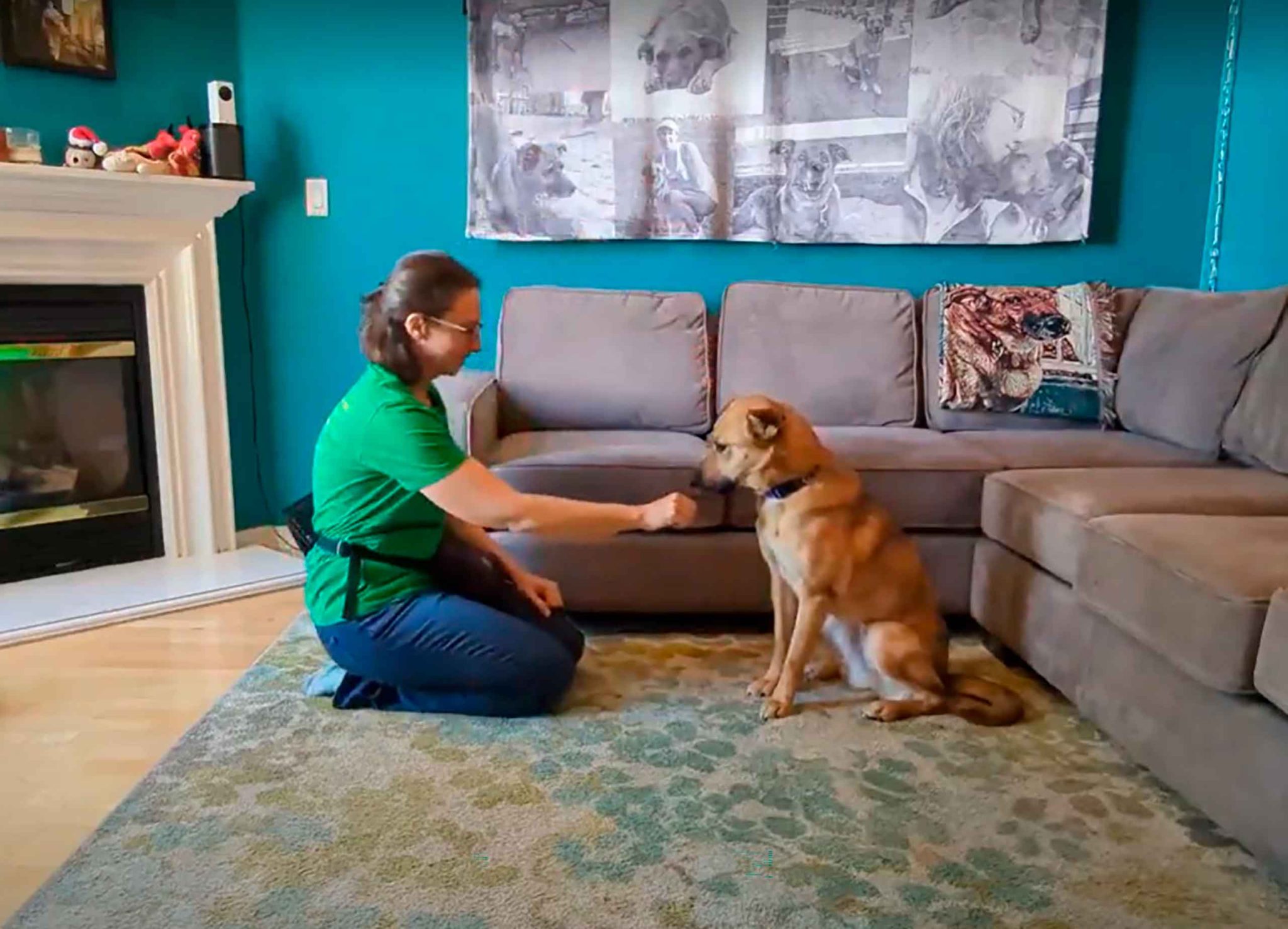 How To Teach A Dog To Lay Down | Feet & Paws